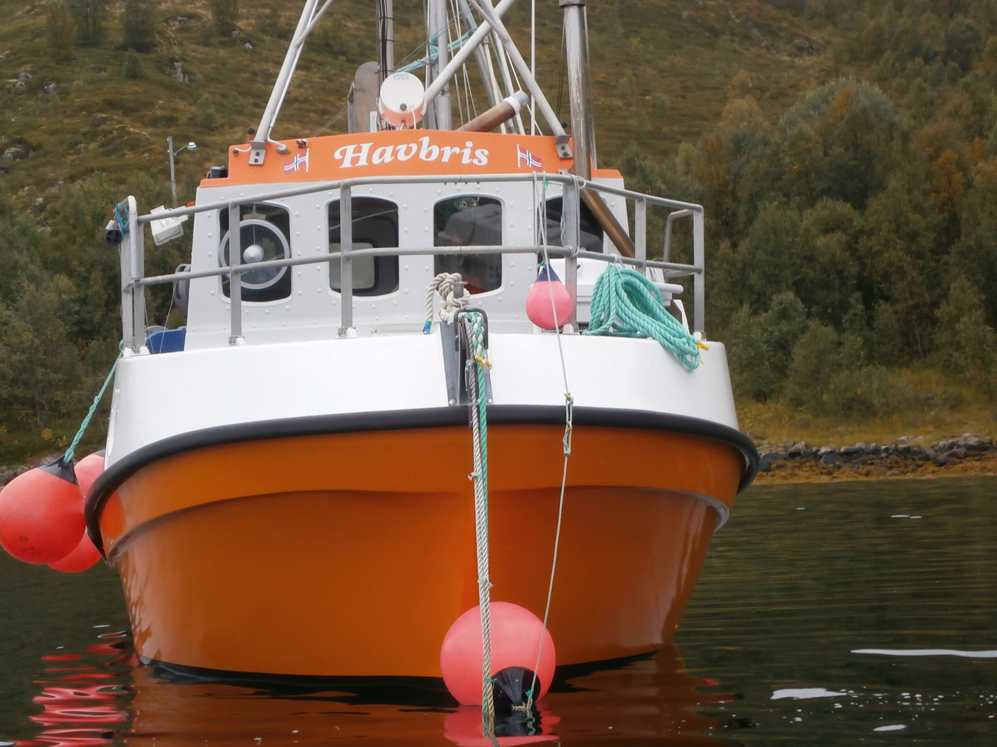 M/S HAVBRIS